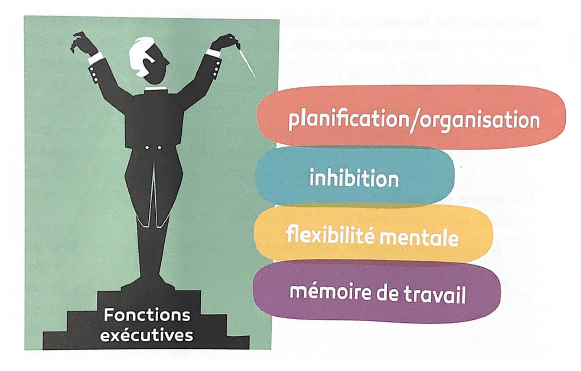 CHU de Nantes - Les fonctions exécutives CHU de Nantes - Les fonctions exécutives